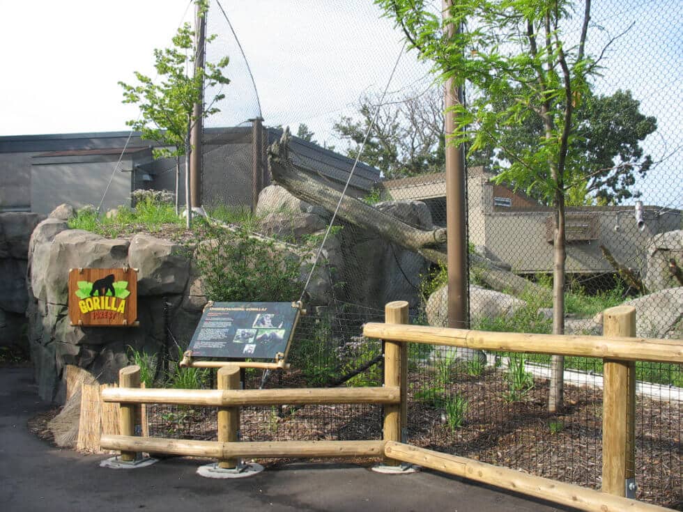 Como Zoo Projects | St. Paul, MN - Architecture Advantage